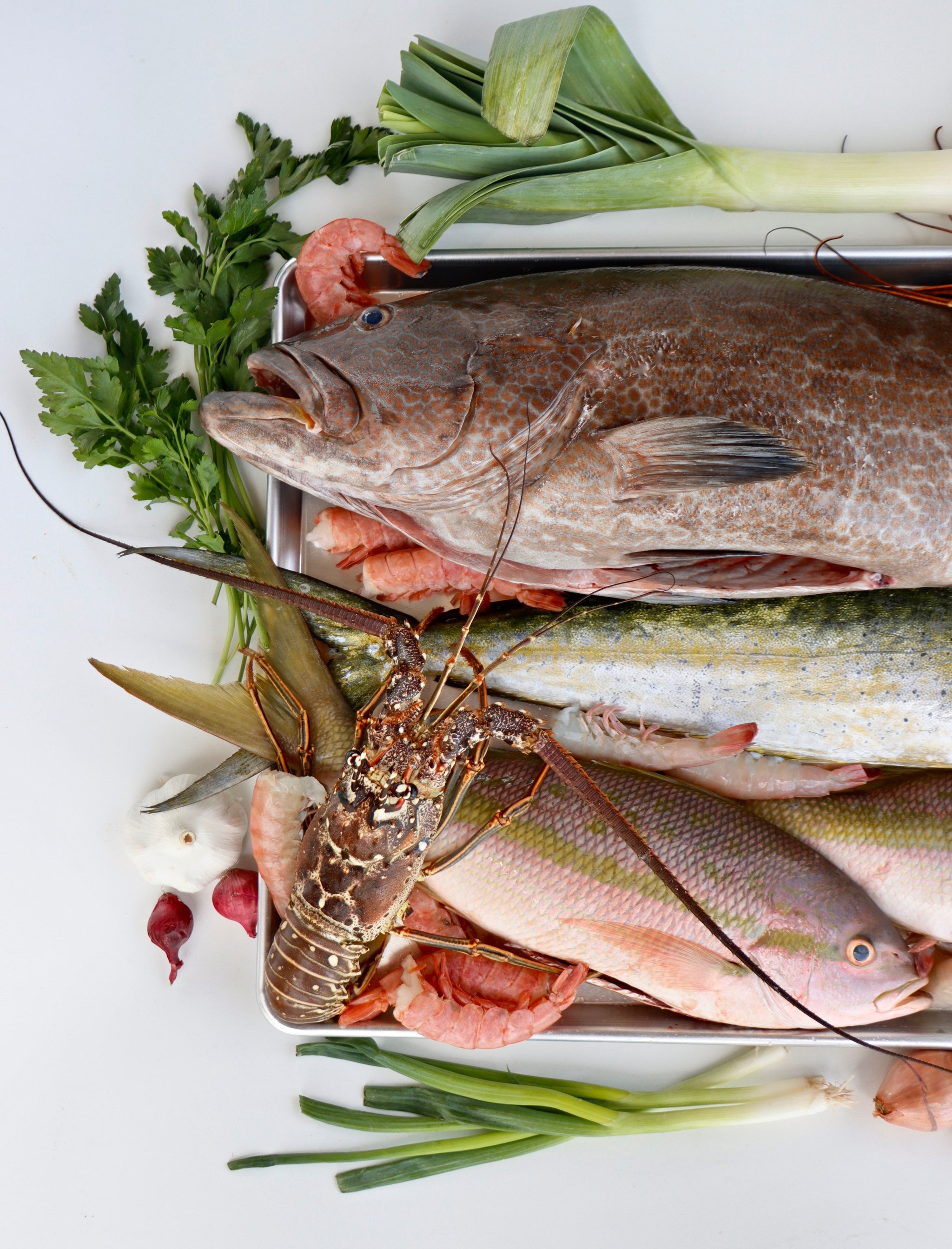Fresh Florida Grouper Filets - Black Grouper, Red Grouper, Gag Grouper
