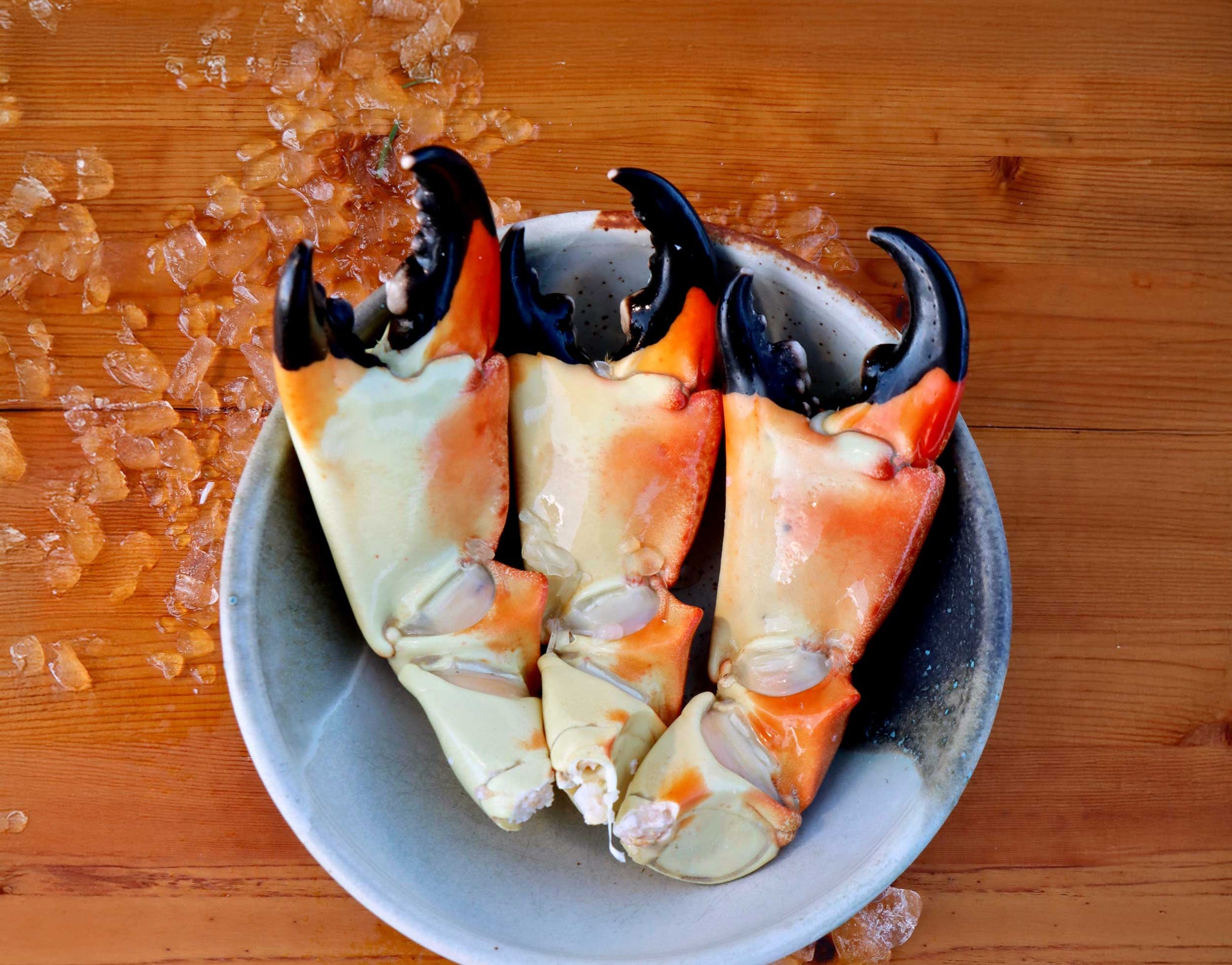Stone Crab Party Platter - 6 Lb. Large Stone Crab + 2 Stone Crab Dips