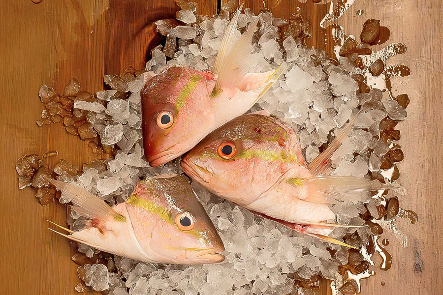 Fish Heads – Keys Fresh Seafood