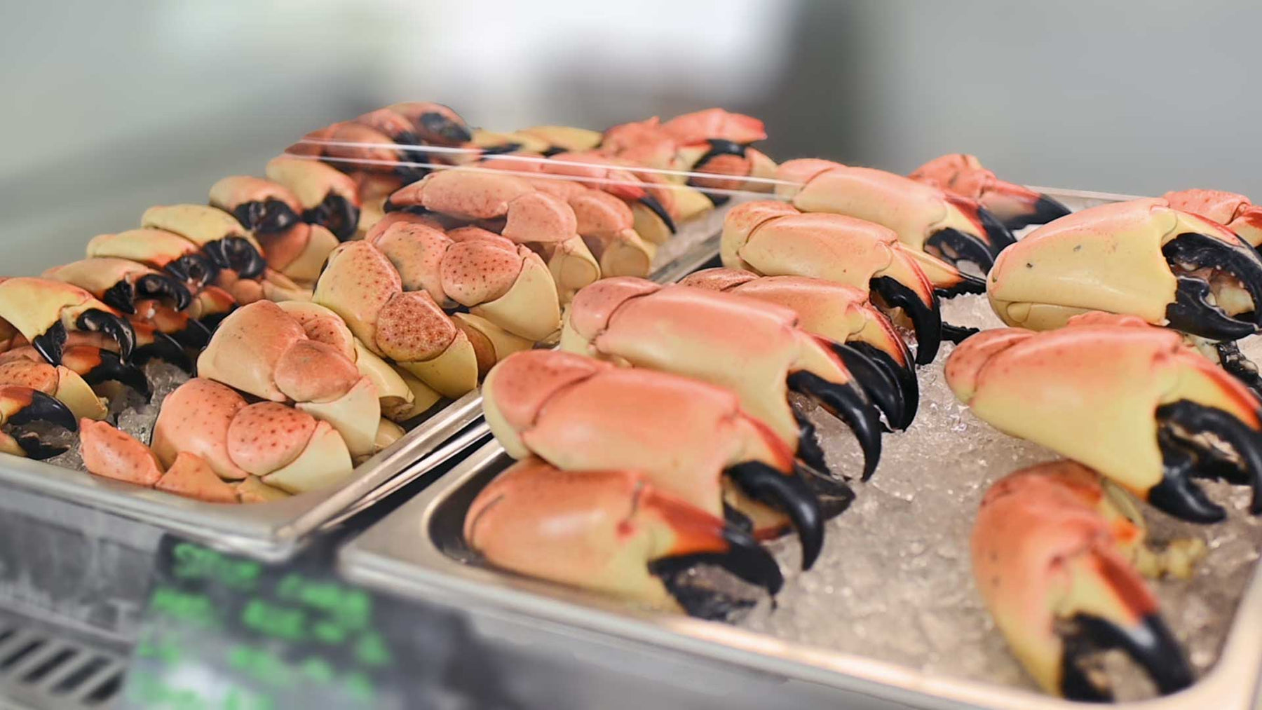 Keys Fresh Seafood Market | Key West, FL