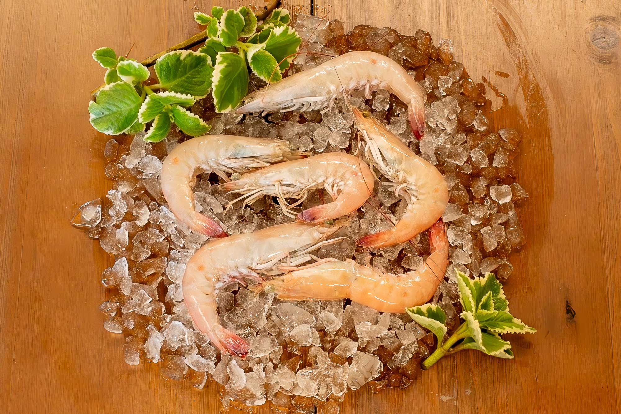 Key West Pink Shrimp – Keys Fresh Seafood