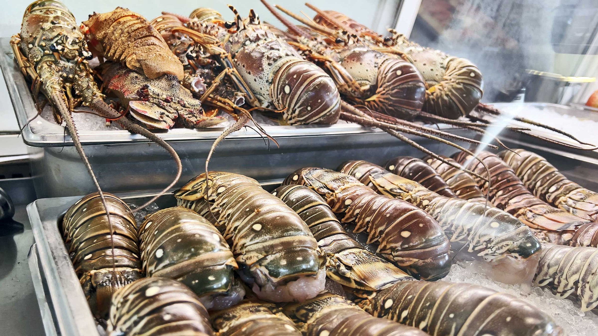 Keys Fresh Seafood Market | Key West, FL