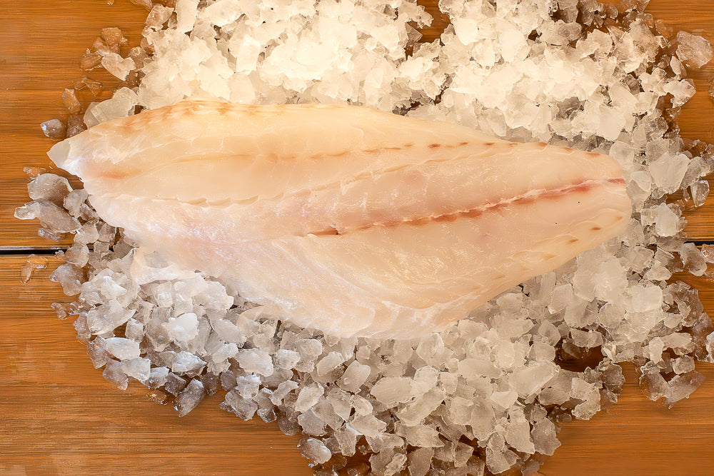 Yelloweye Snapper Fillet (PER LB)