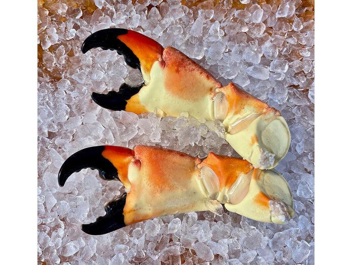 Fresh Florida Stone Crab Claws – Medium, Large, Jumbo, Colossal | Keys ...