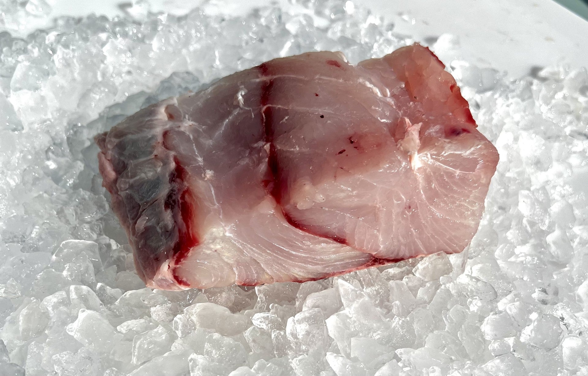 Cubera Snapper fillet (PER LB)