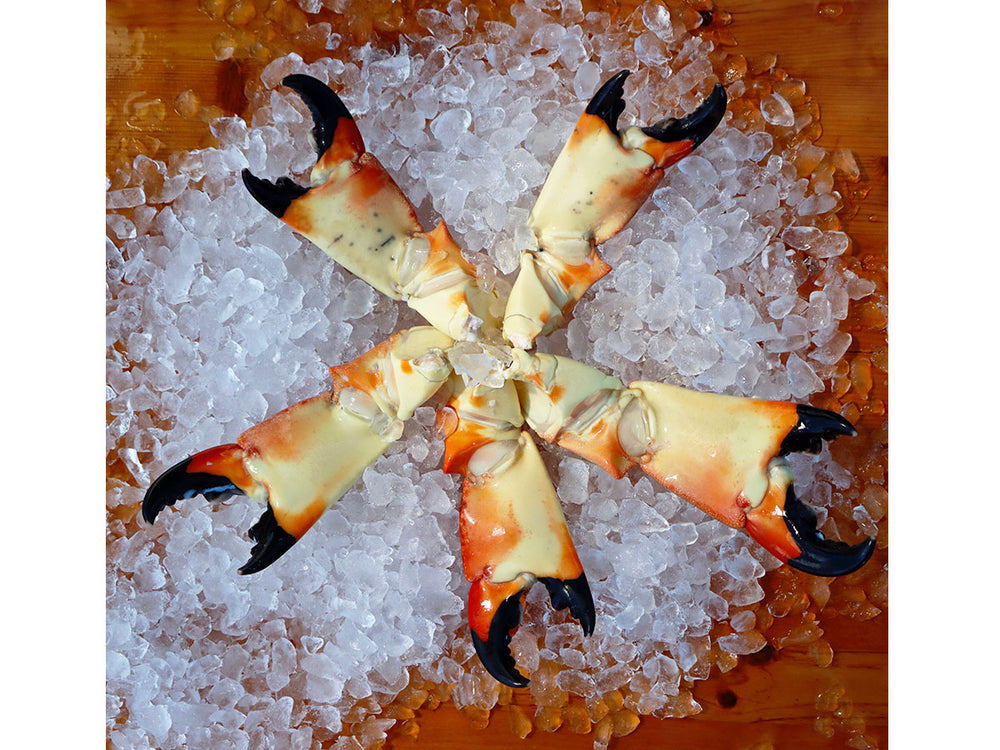 Keys Seafood Celebration Pack for 6 People - Large Stone Crab Claws, L