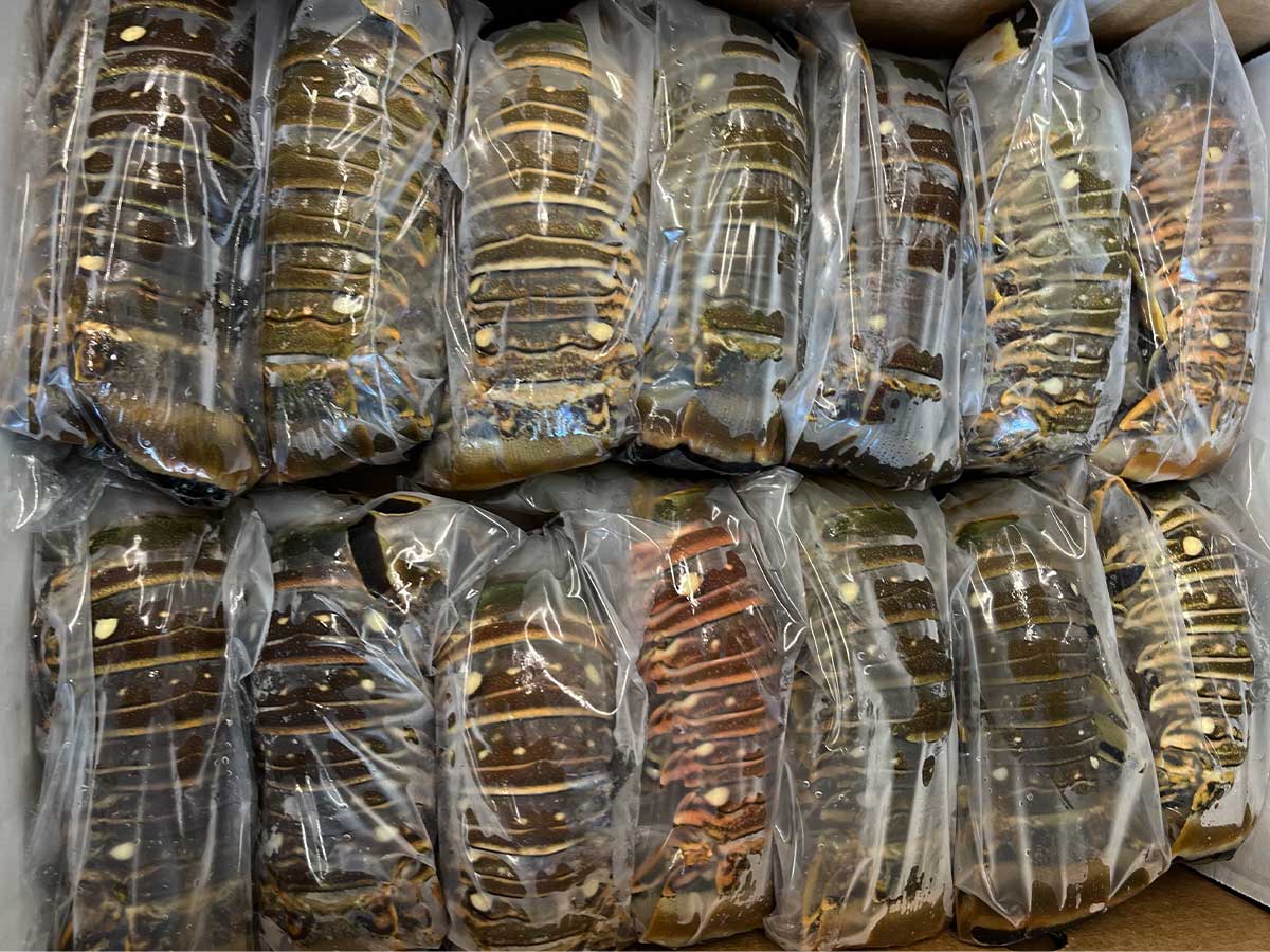 Box of Lobster Tails - 10lbs Total – Keys Fresh Seafood