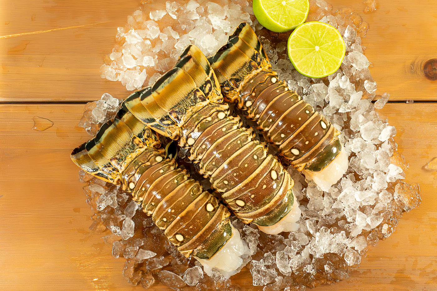 Keys Fresh Seafood Market | Key West, FL