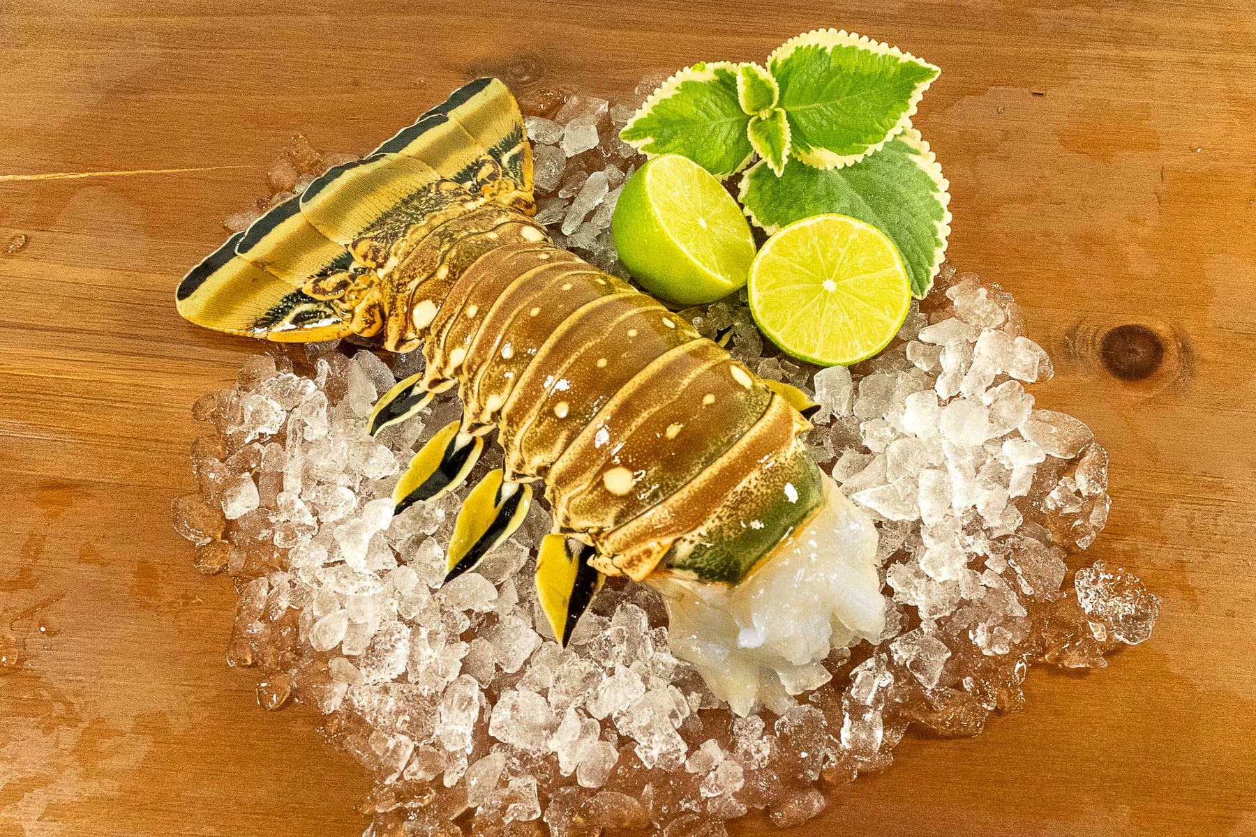 Keys Fresh Seafood Market | Key West, FL