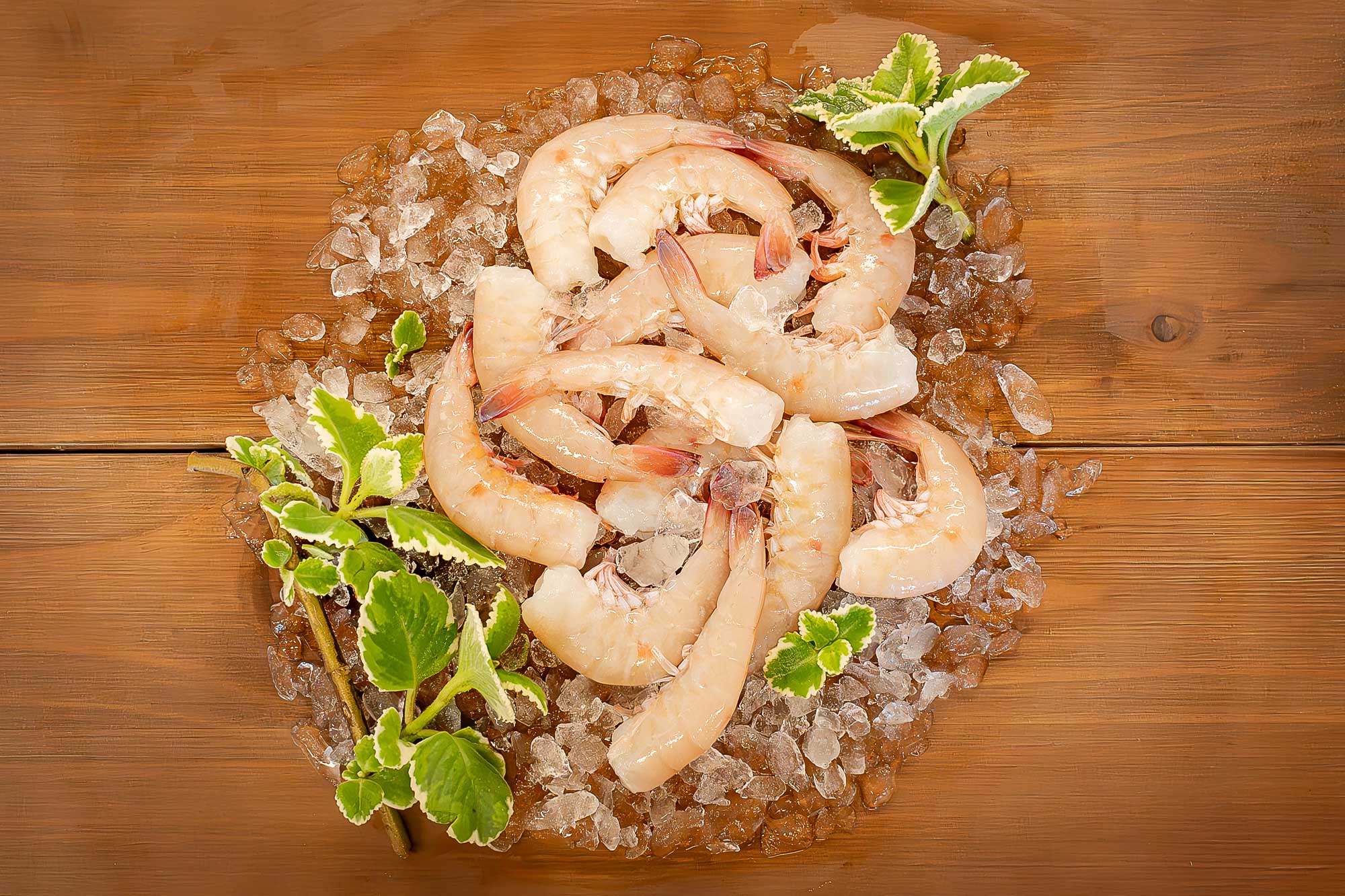 Key West Pink Shrimp – Keys Fresh Seafood