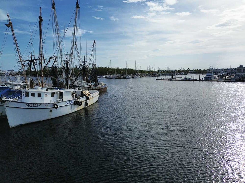 Keys Fresh Seafood Market | Key West, FL
