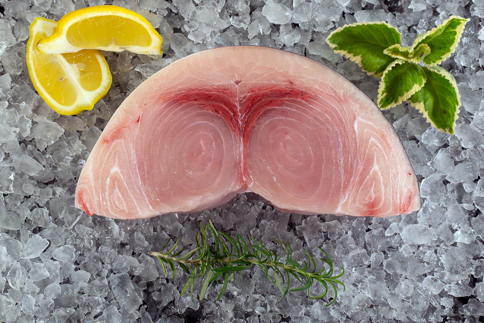 Swordfish Fillet (PER LB) – Keys Fresh Seafood