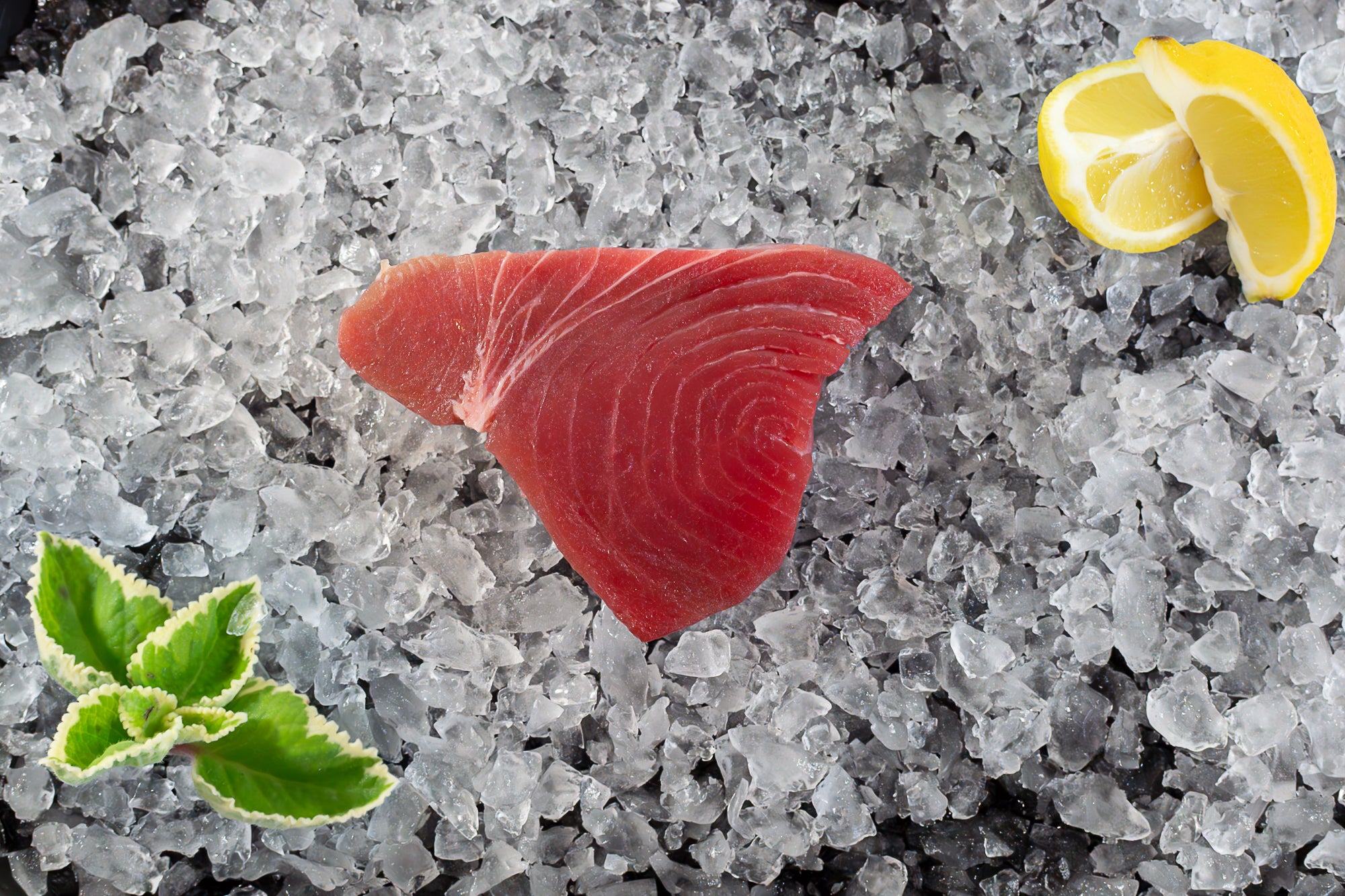 Yellowfin Tuna Fillet (PER LB) – Keys Fresh Seafood