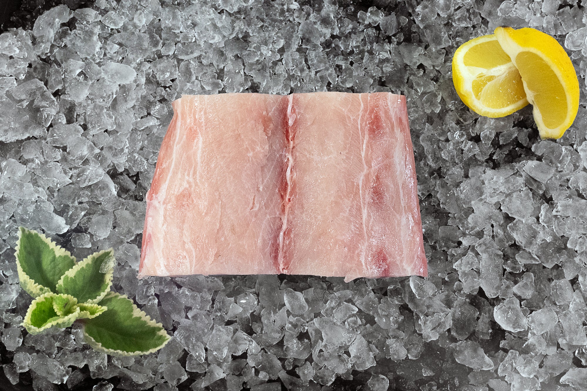 Cobia Fillet (PER LB) – Keys Fresh Seafood