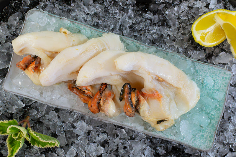 Conch Meat (PER LB) | Wild-Caught | Keys Fresh Seafood Market