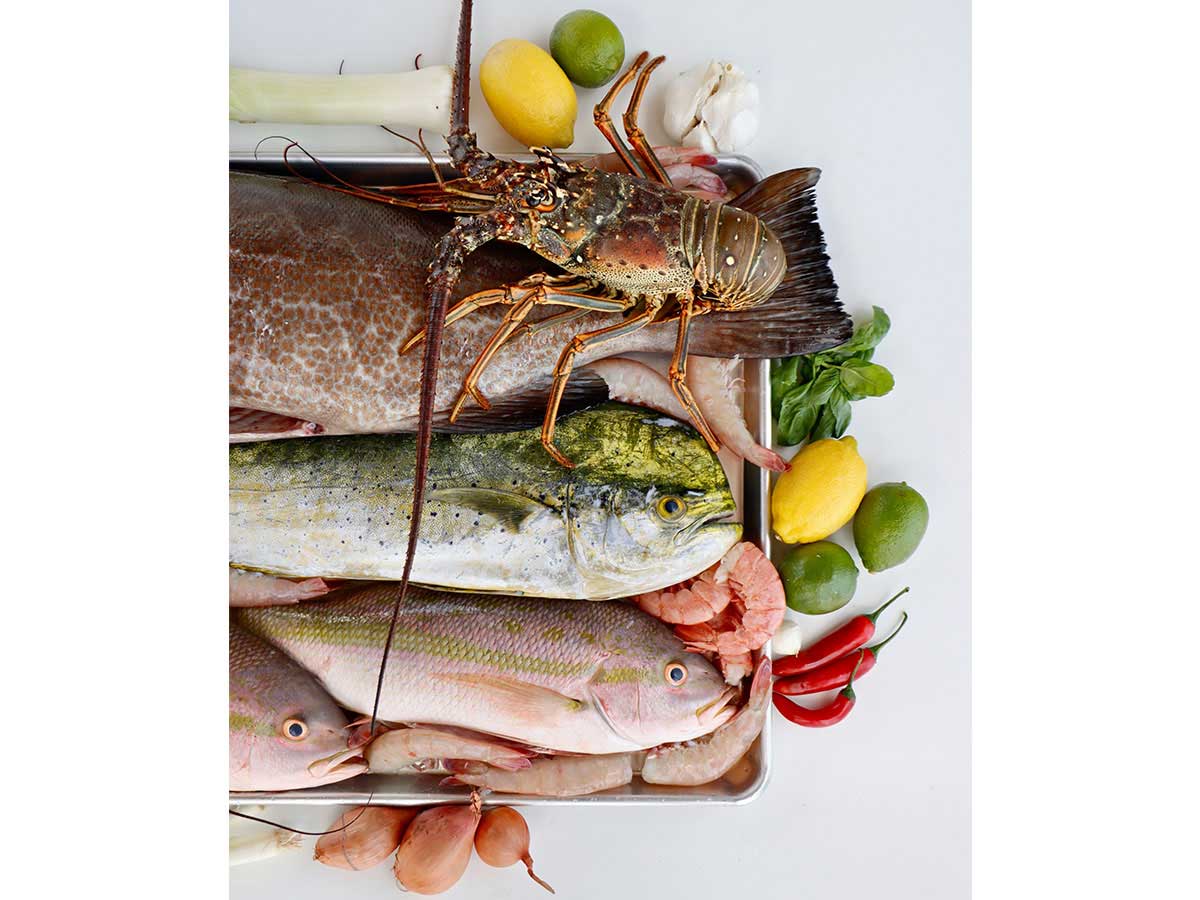 Bundle Boxes – Keys Fresh Seafood