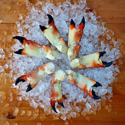 Order Stone Crab Claws: Medium, Large, XLarge & Colossal