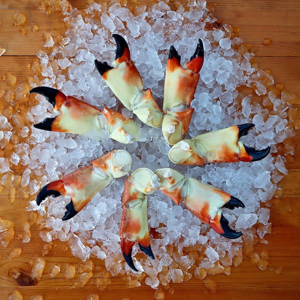 Order Stone Crab Claws: Medium, Large, XLarge & Colossal