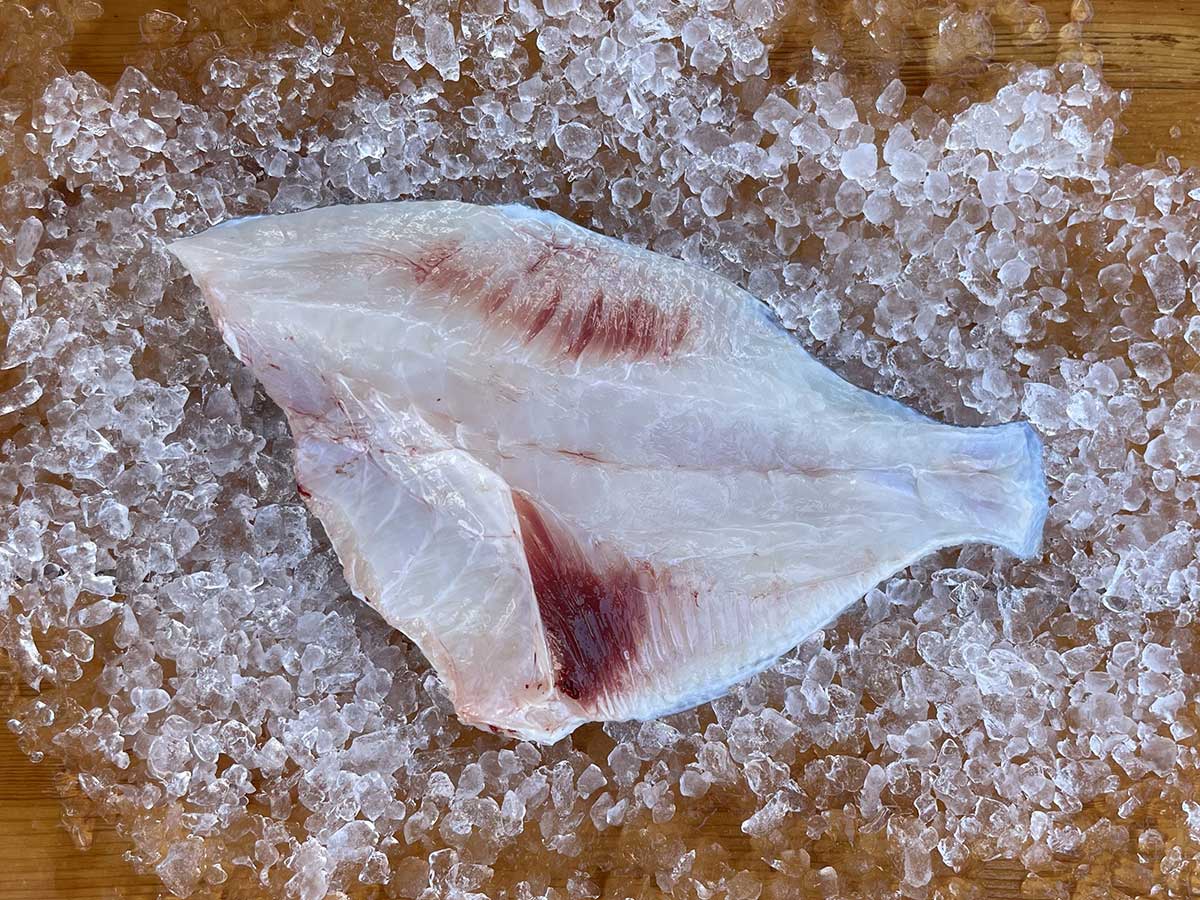 Trigger Fish Fillet (PER LB) – Keys Fresh Seafood