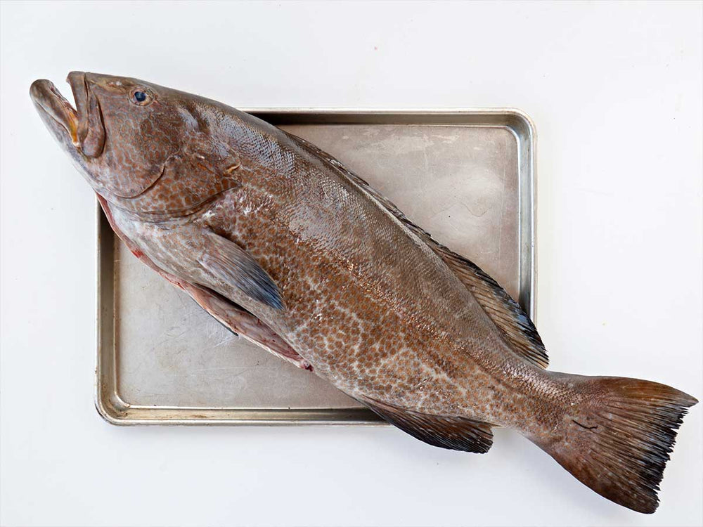 Keys Fresh Seafood Market | Key West, FL