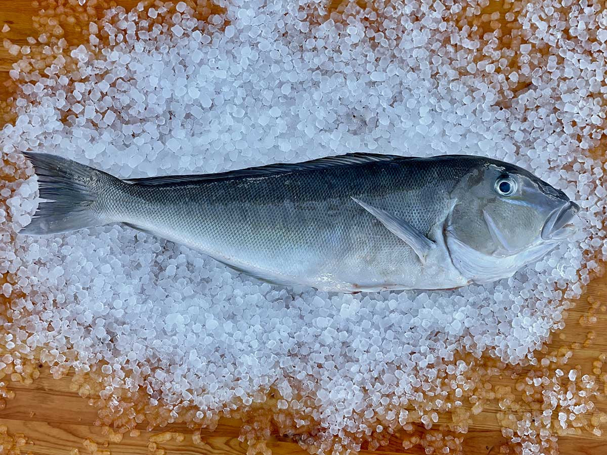 Grey Tilefish Fillet (per lb.) – Keys Fresh Seafood