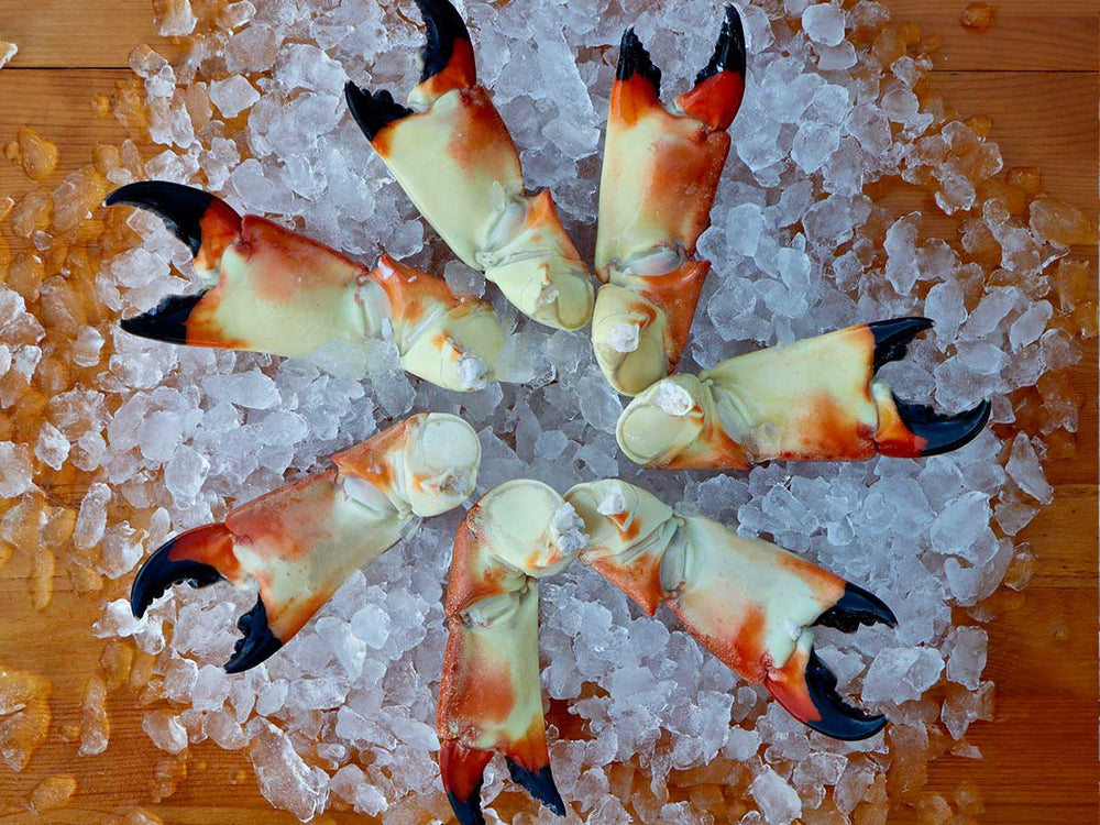 Florida Stone Crab Claws | All Sizes – Med to Mega Colossal | Keys ...