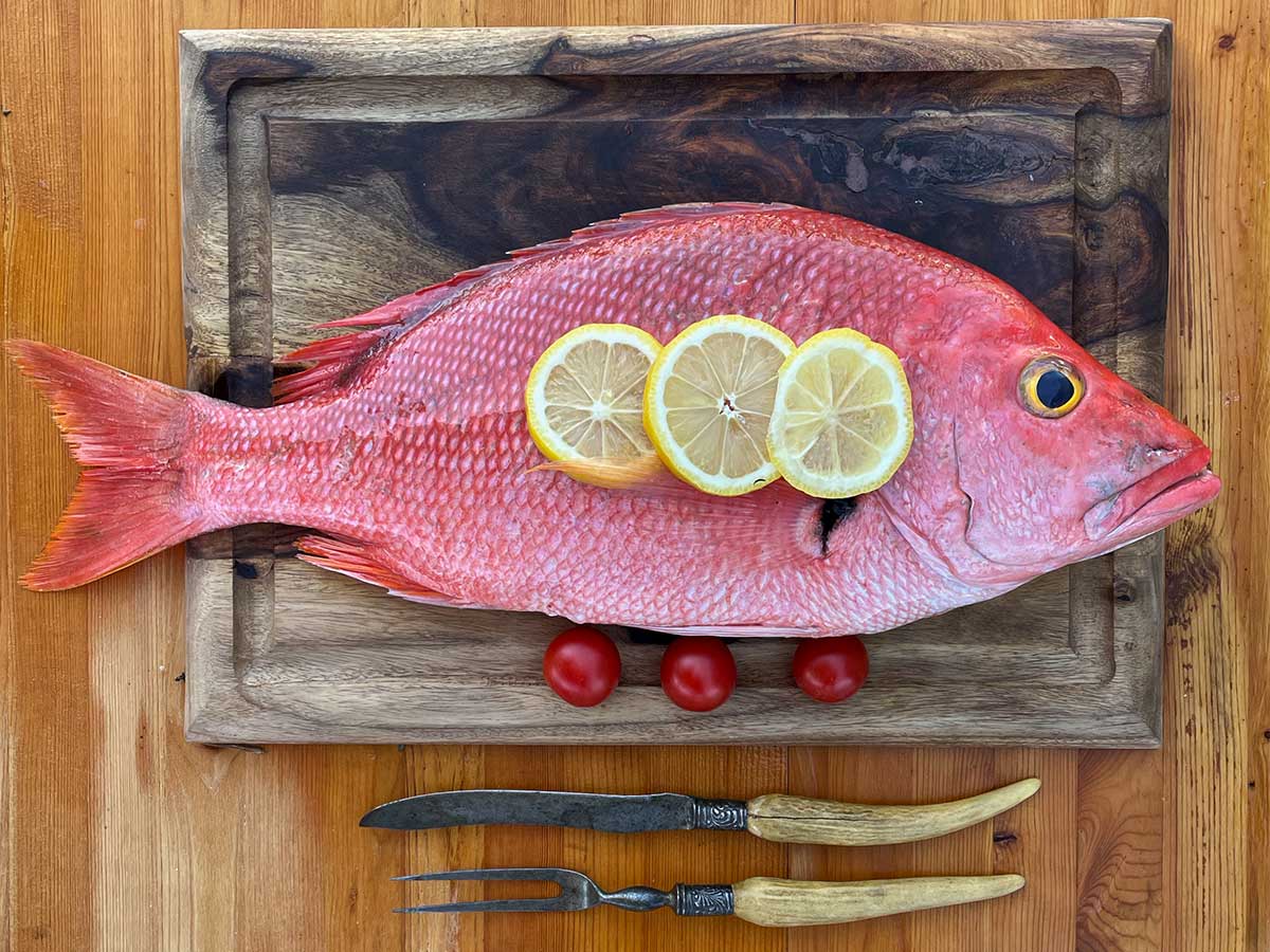 Blackfin Snapper Fillet (PER LB) – Keys Fresh Seafood