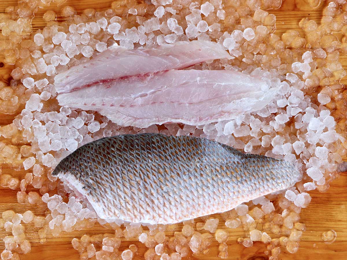 Mangrove Snapper Fillet (PER LB) – Keys Fresh Seafood