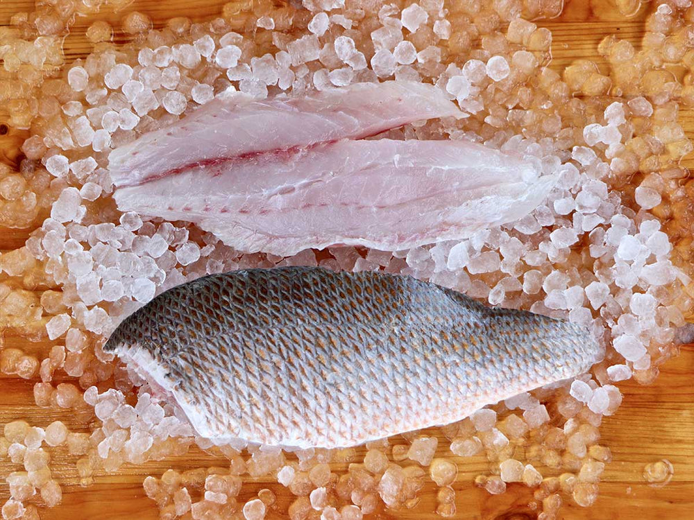 Mangrove Snapper Fillet (PER LB)